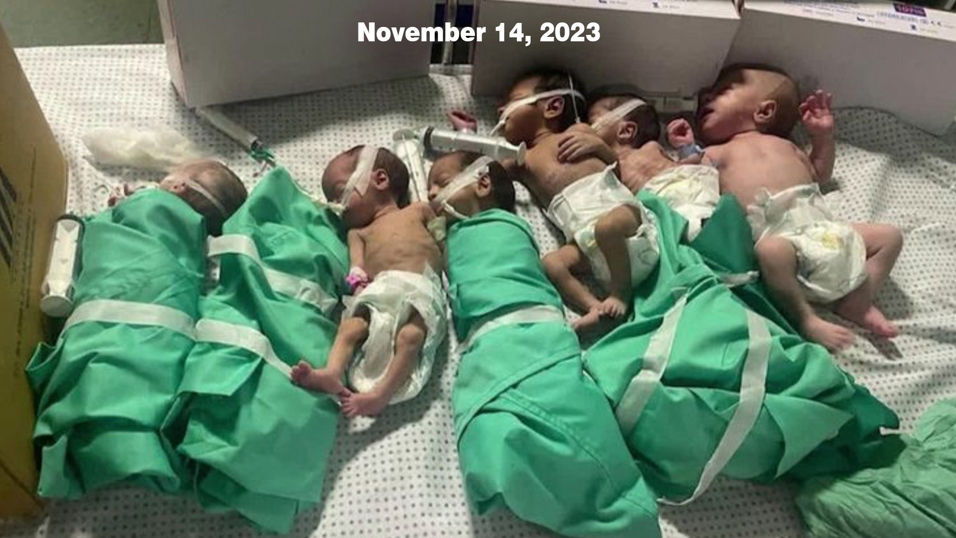 Tuesday, November 14: Gaza Hospital Ground Zero | WORLD Watch