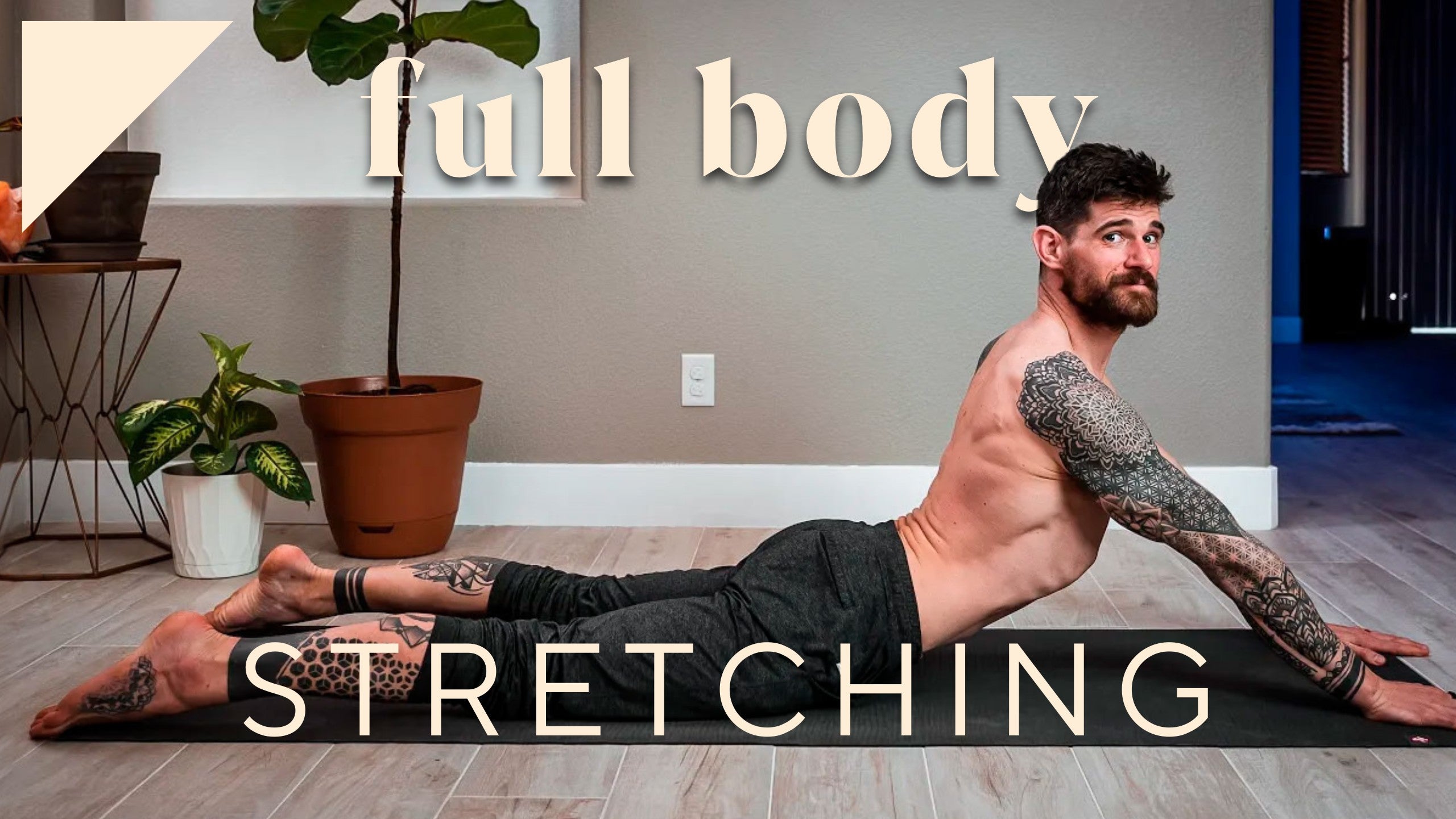 Full Body Stretching Routine for Everything