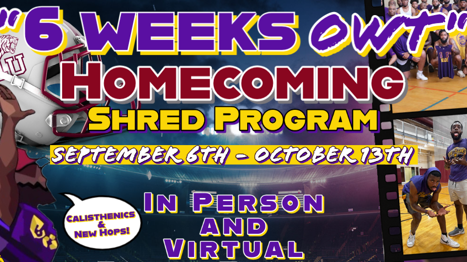 Omega Training Camp | The Ultimate Hop Cardio & Fitness Experience for ...