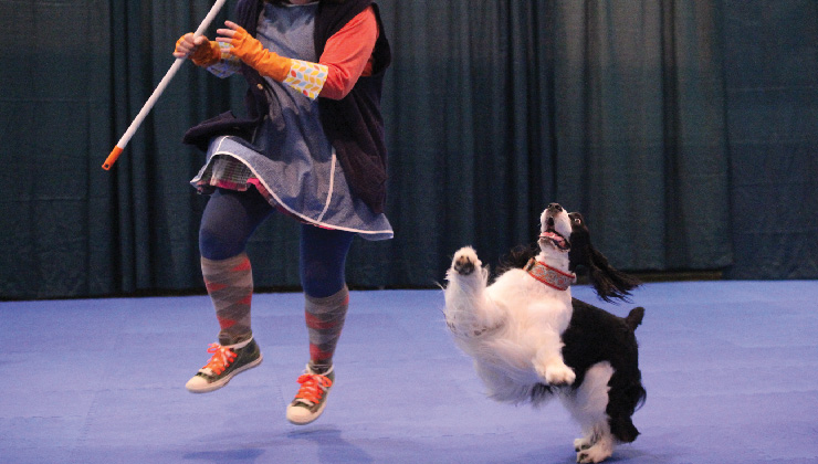 Canine Freestyle: Trick Behaviors | Tawzer Dog