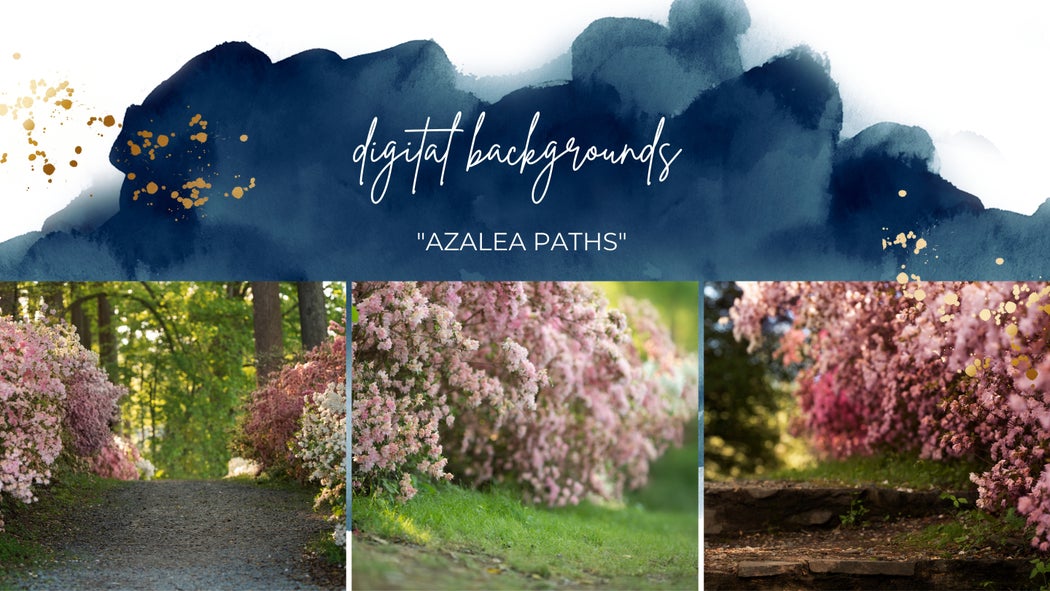 Azalea Path Digital Backgrounds