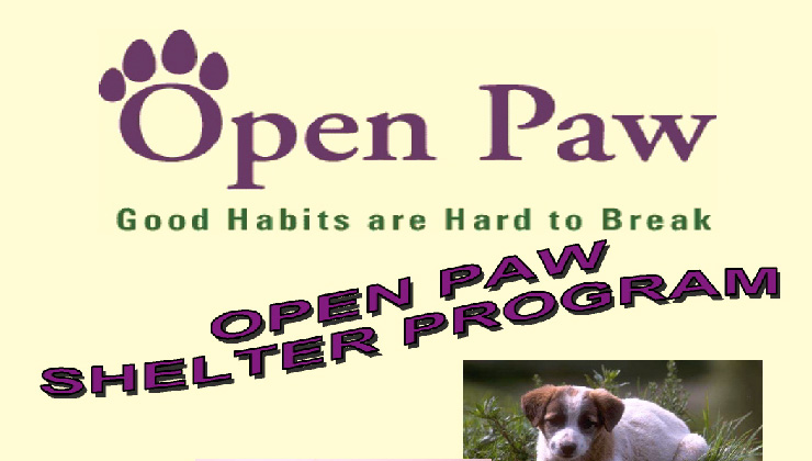 Open Paw Shelter Program | Tawzer Dog