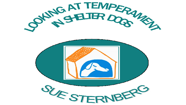 Looking at Temperament in Shelter Dogs | Tawzer Dog