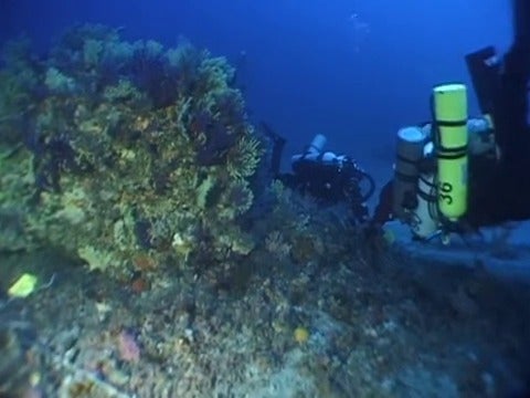 GUE: Uniting Passion and Preservation for the Aquatic Realm