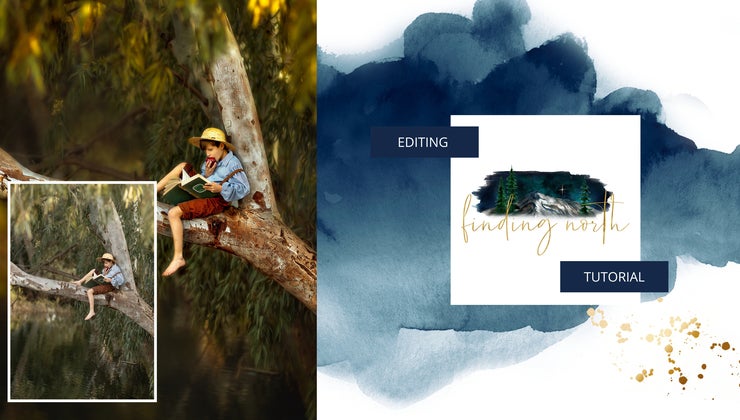 Finding North Educational Resources for Photographers | Alex Bitton ...