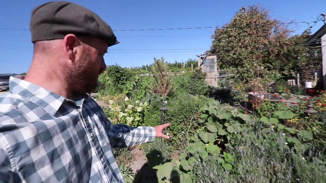 INTRO TO PERMACULTURE MASTERCLASS | Abundance Plus