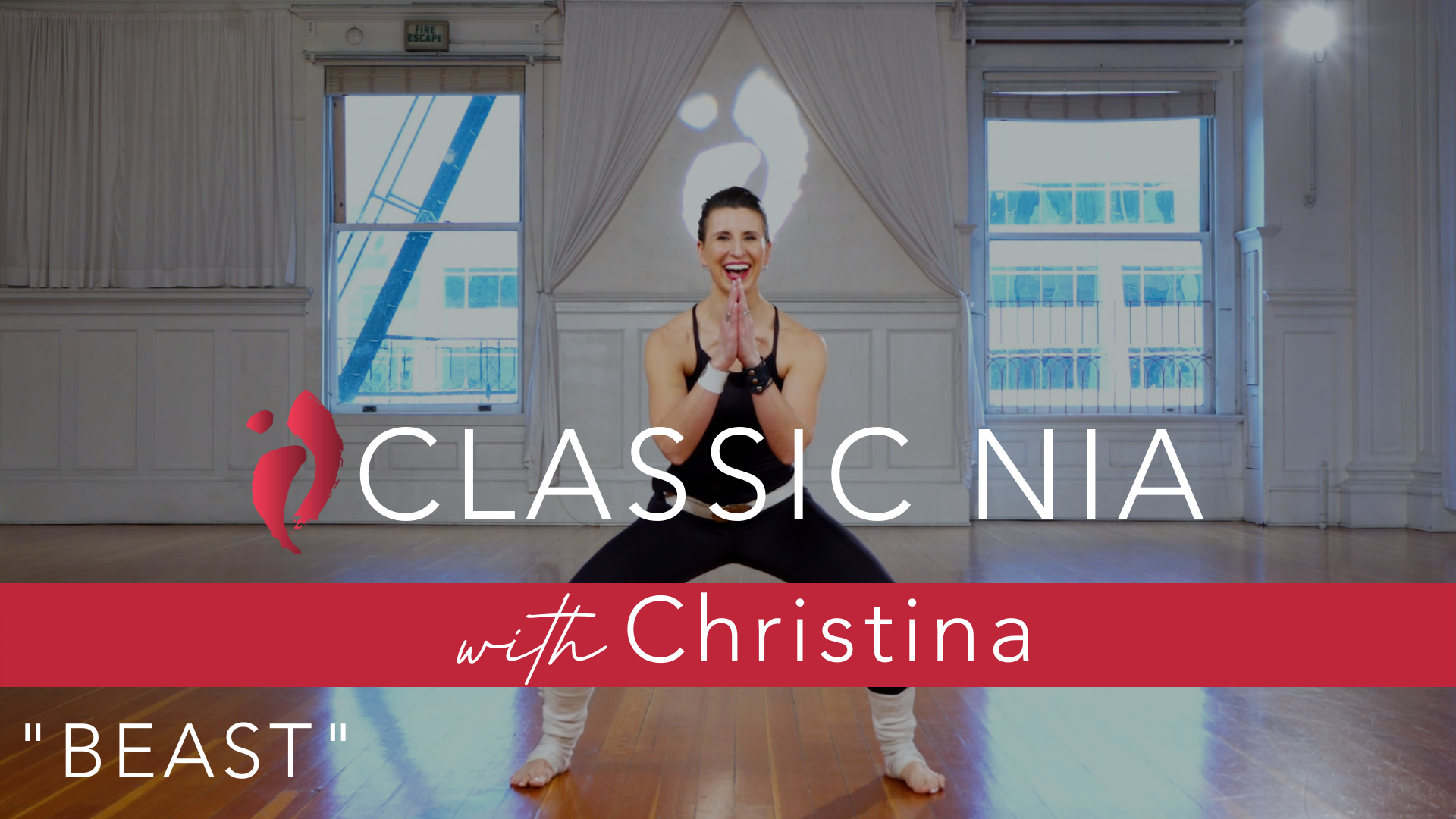 Classic Nia Movement Menu | Nia® On Demand