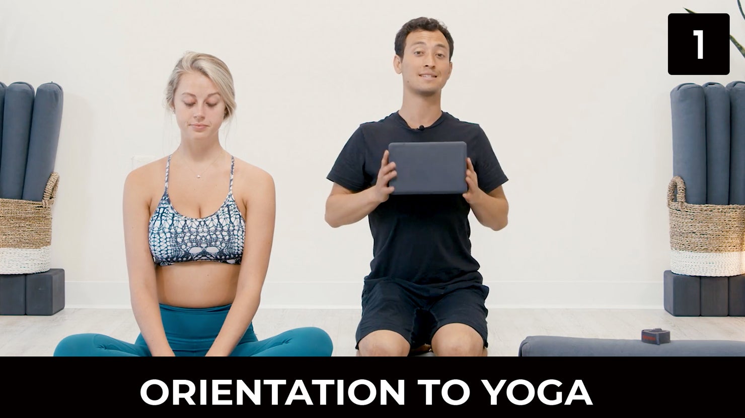 Yoga for Absolute Beginners | BODHI