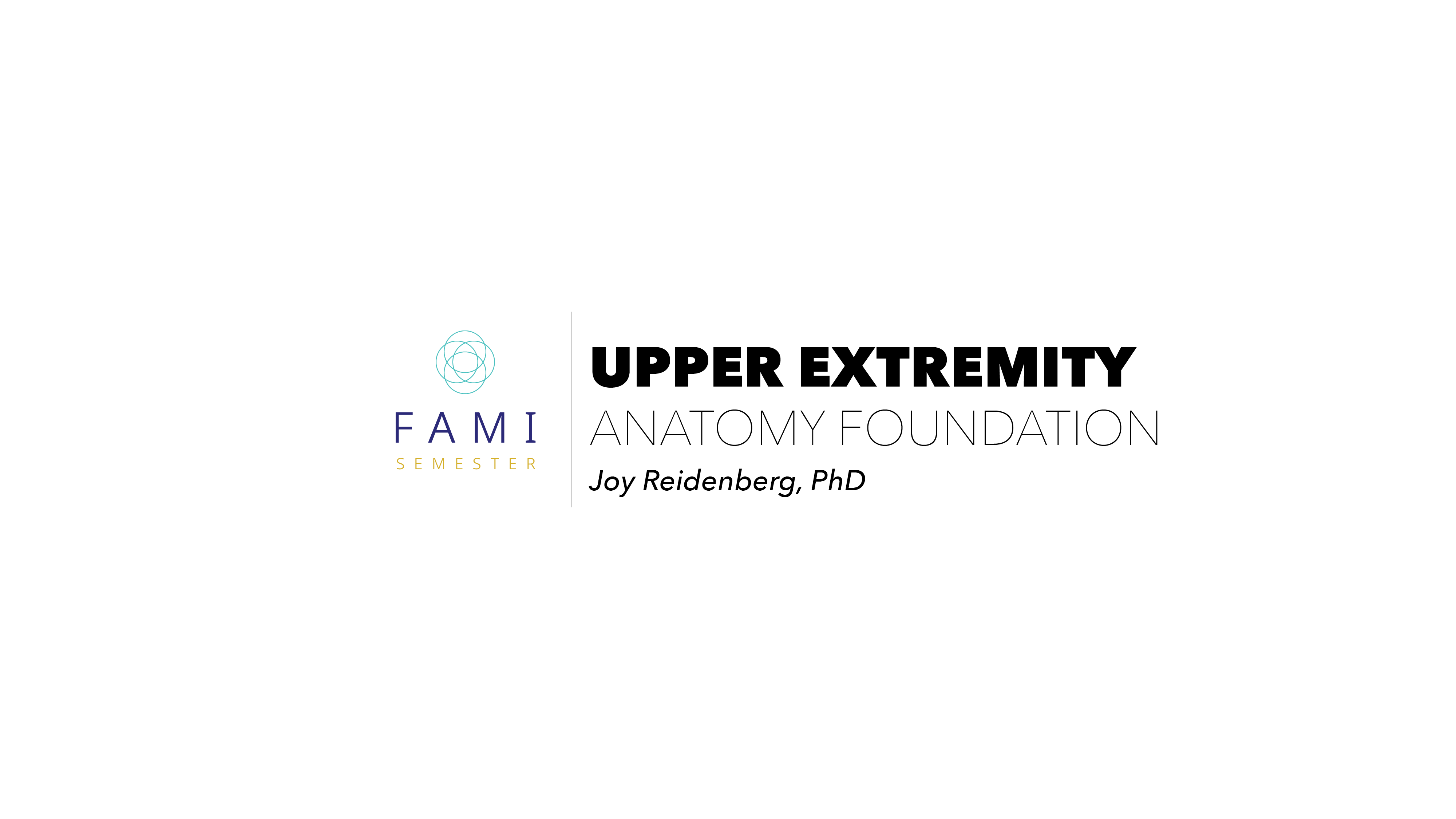 FAMI Semester | Virtually Kinected