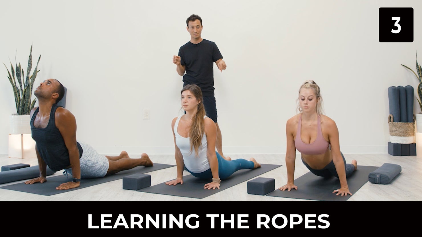 Yoga for Absolute Beginners | BODHI