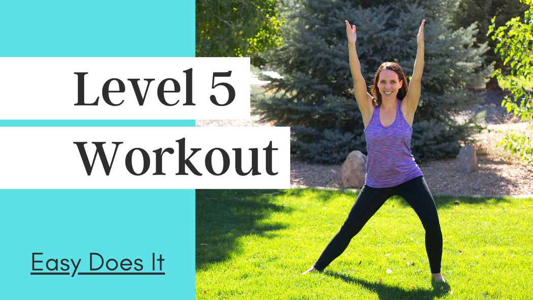 Oxycise! Easy Does It Level 5 Workout | Senior Fitness