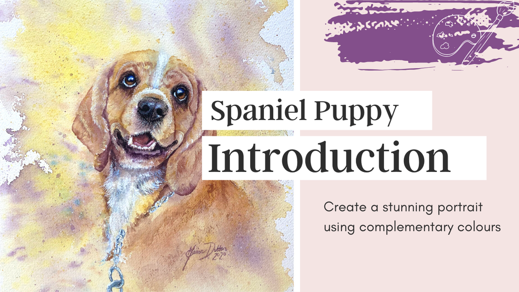 Paint Pet Portraits in Watercolour & Coloured Pencil loose