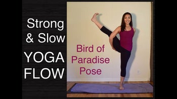 intermediate yoga bird