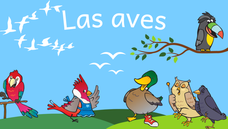 Learn @ Home - Spanish for Kids | Birds with Susy Dorn
