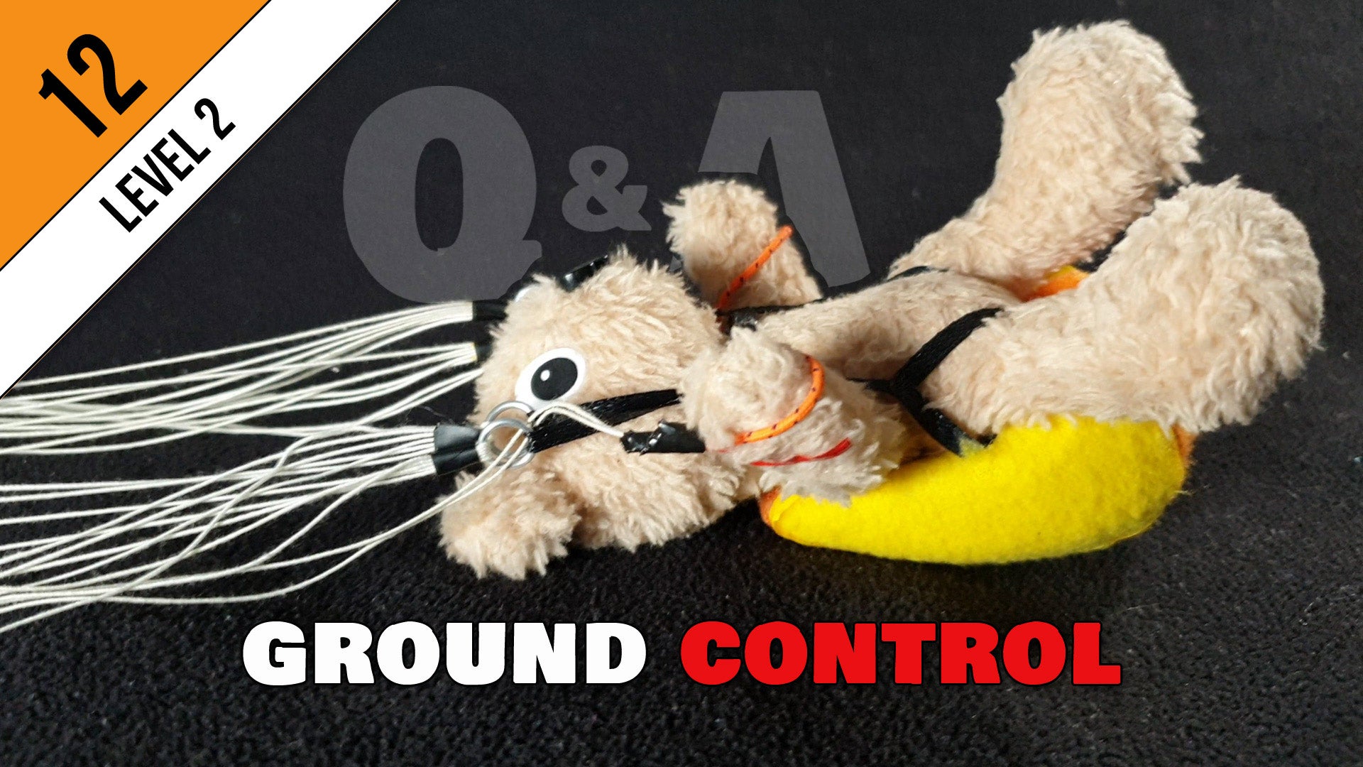 FLIGHT LEVEL 2: Ground Control | Fly With Greg