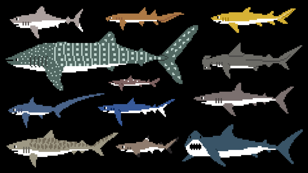 Sharks - 8 Bit | The Kids' Picture Show