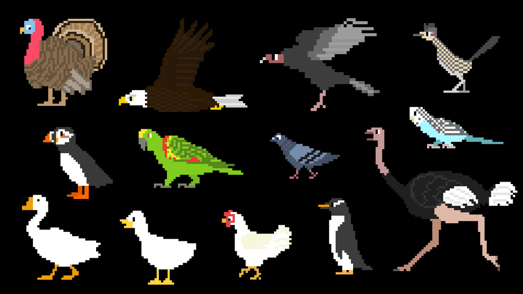 animals-the-kids-picture-show