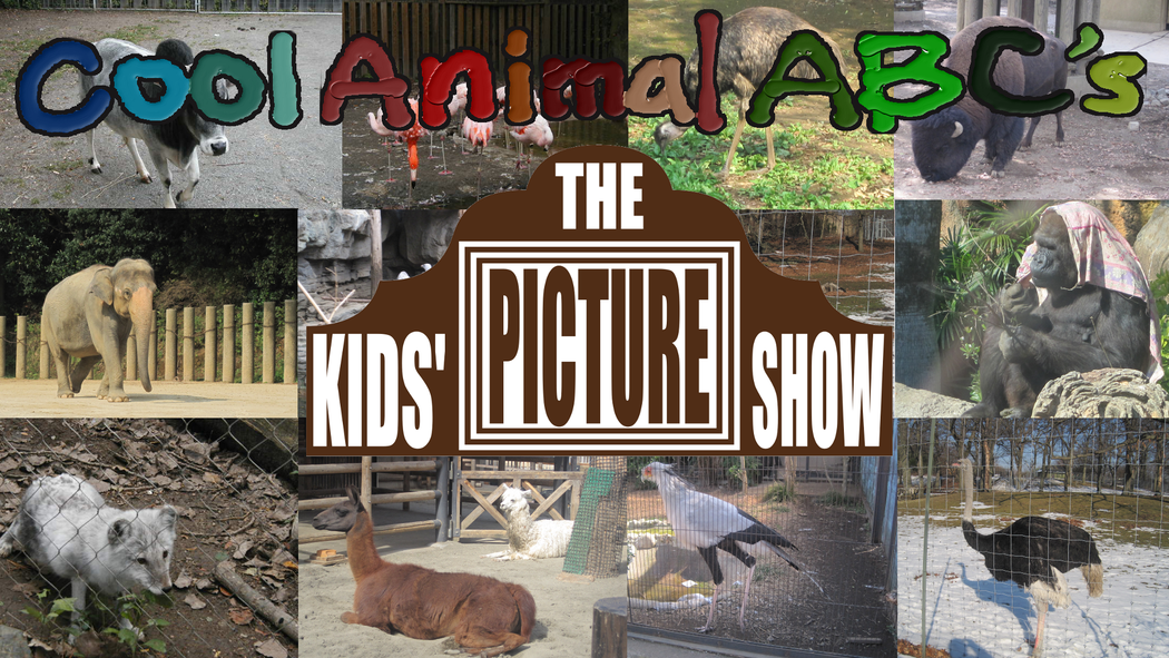 Animals | The Kids' Picture Show