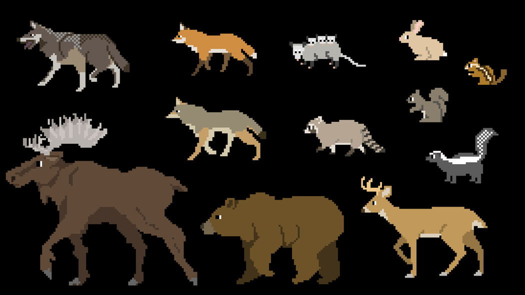 Animals Book Version Playlist | The Kids' Picture Show