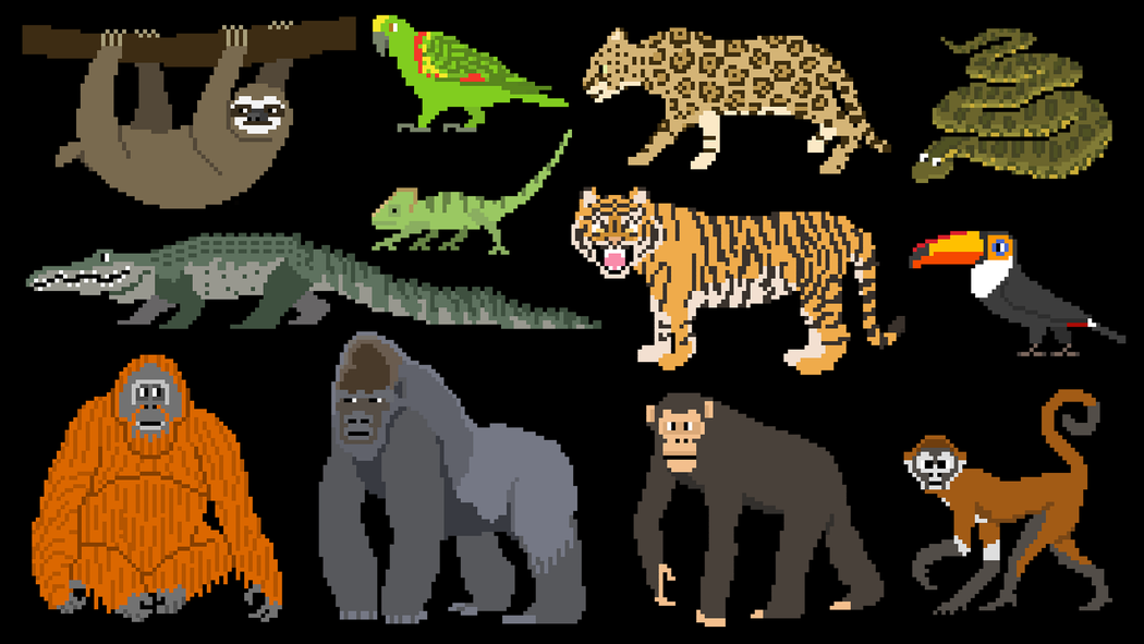 Animals | The Kids' Picture Show