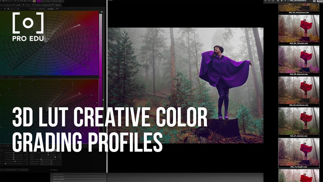Master Collection | 100 3D LUT Profiles for Adobe | PRO EDU
