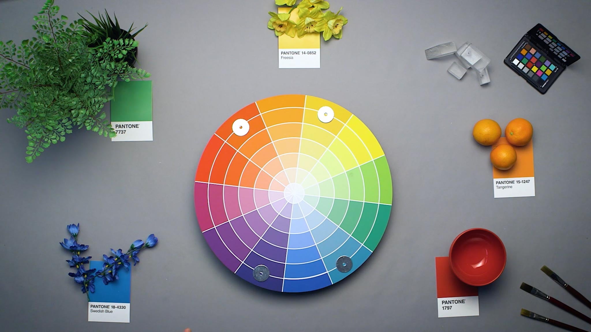 Color Theory For Photographers with Kate Woodman | PRO EDU