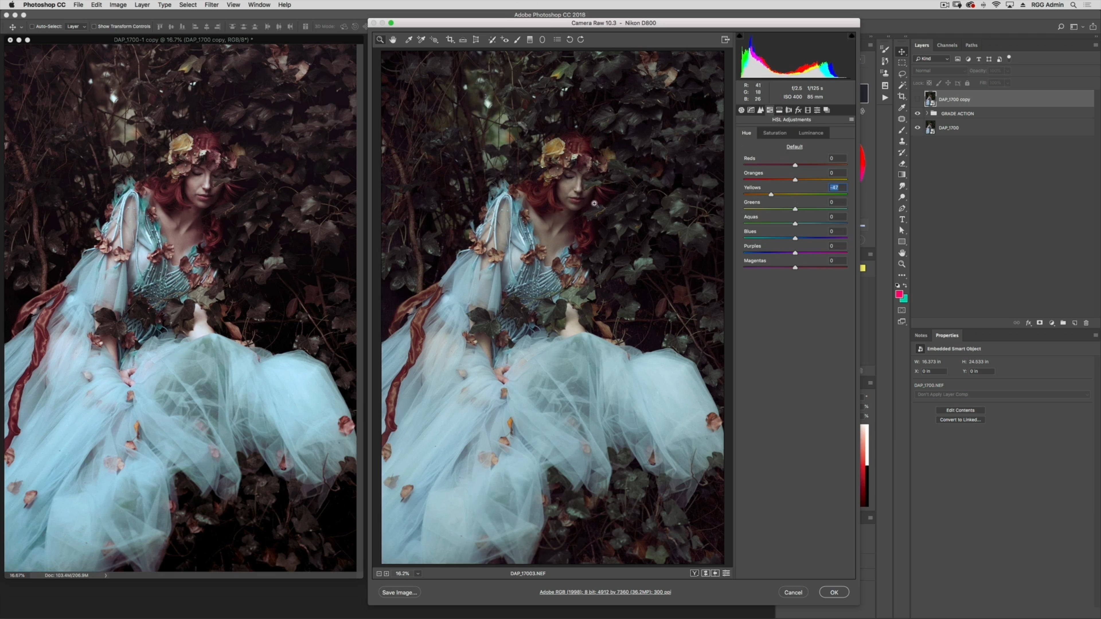 3D LUT Profile Roller Derby | PRO EDU Photography Education