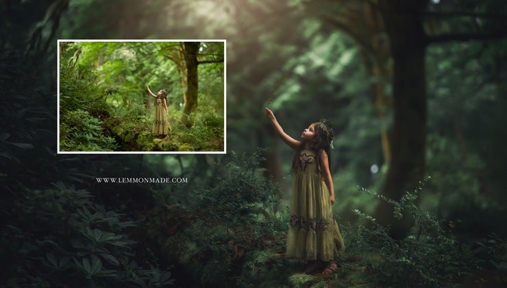 Finding North Educational Resources for Photographers | Silent Edit Using the Finding North ...