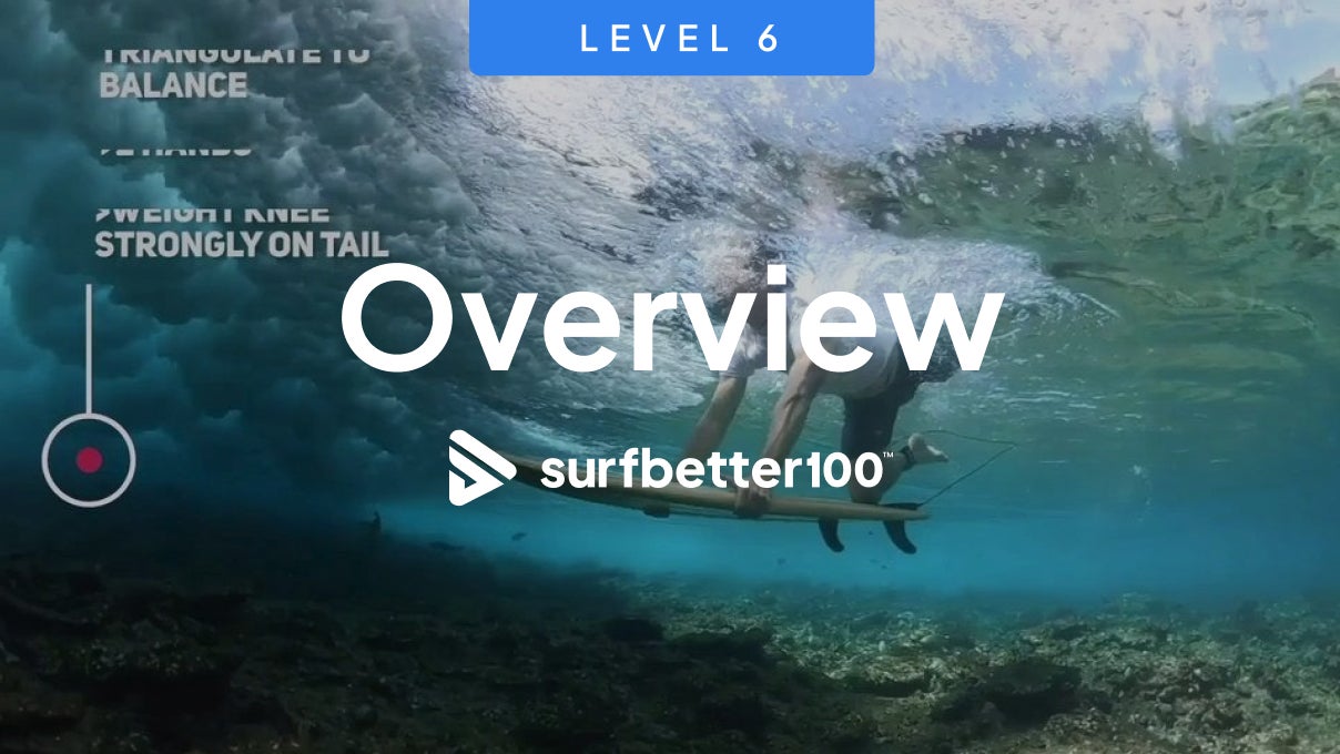 Level 6 | Surfbetter