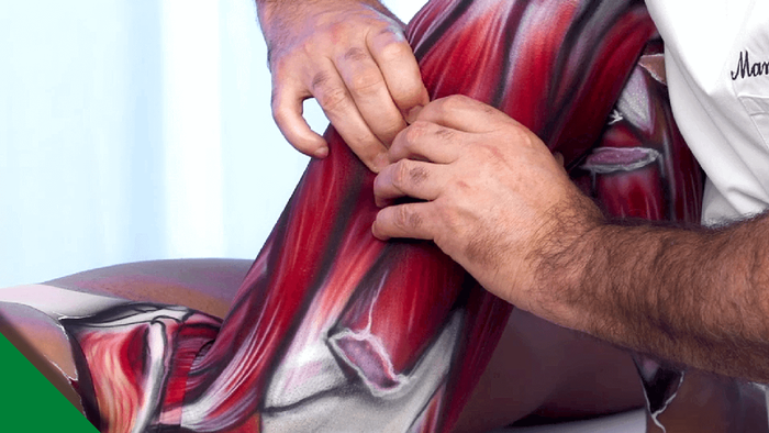 01.02. Palpation and functional anatomy of the lumbar spine and lower limb