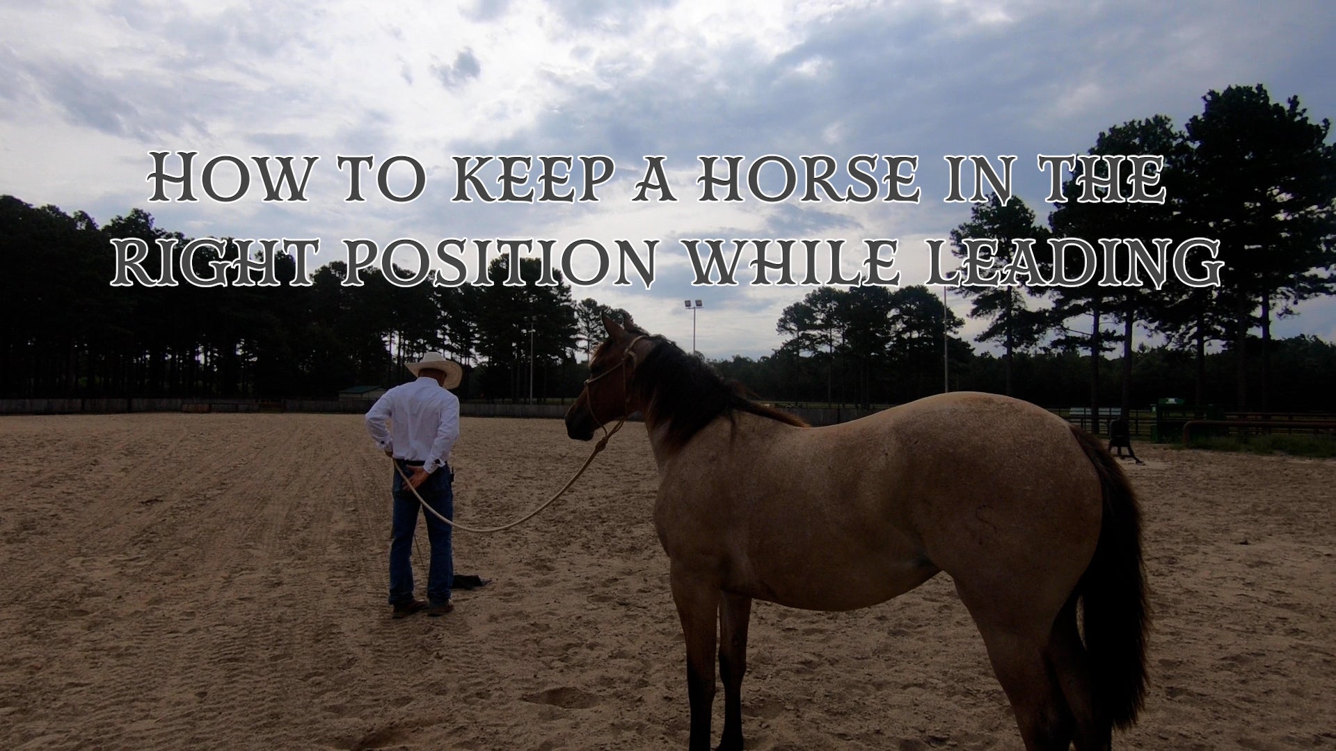 10 Commandments | B1 Horsemanship