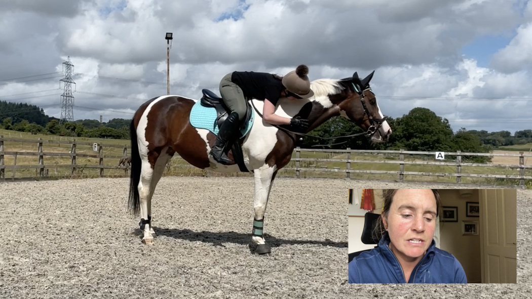 Burghley 2025 - Trot Up | Piggy TV