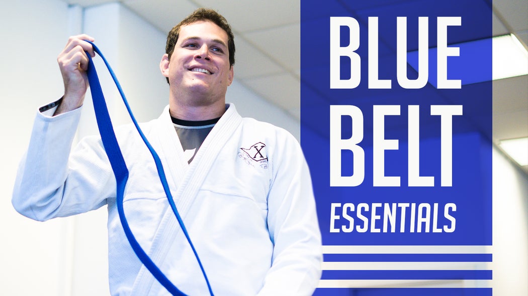 Blue Belt Essentials Program