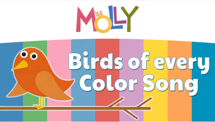 HeidiSongs | Birds of Every Color Song - Miss Molly Songs