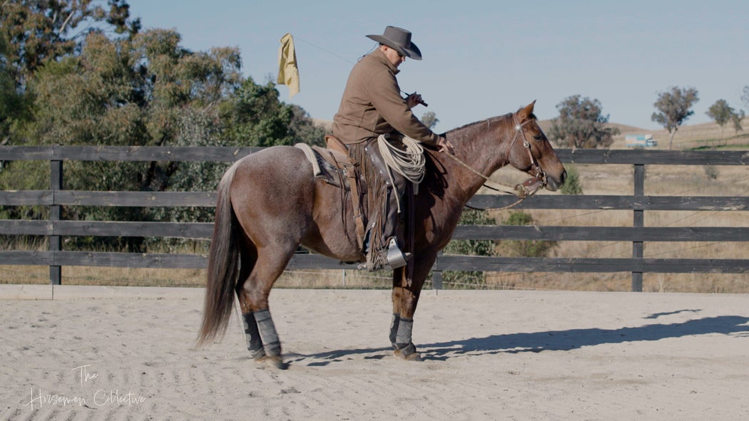 HOW TO USE THE FLAG | The Horsemen Collective