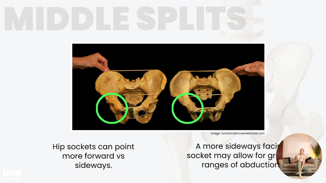 Master the Middle Splits Part 1: Hip & Pelvis Anatomy