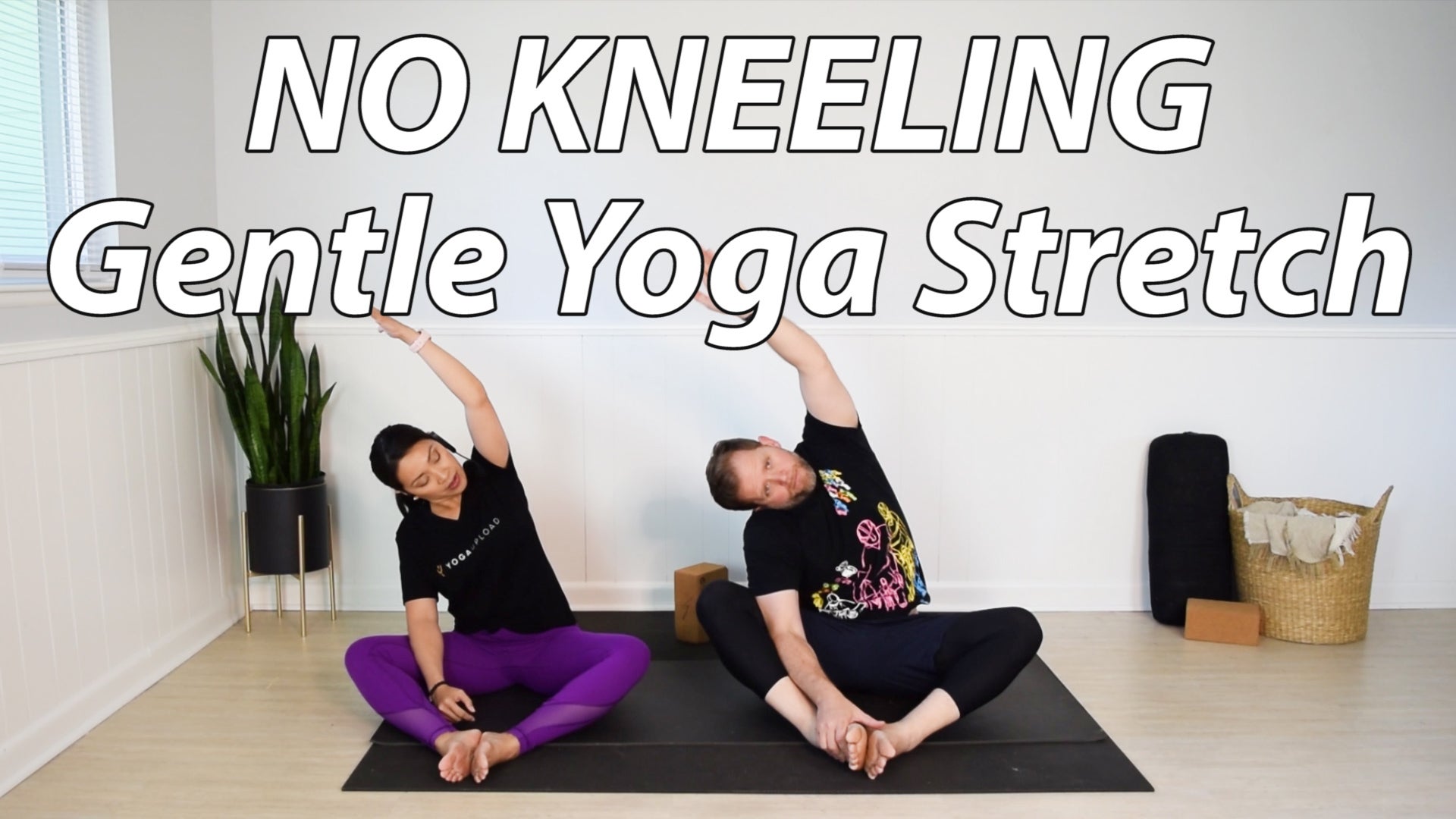 6-WEEK FLEXIBILITY & MOBILITY YOGA PROGRAM | Yoga Upload Plus