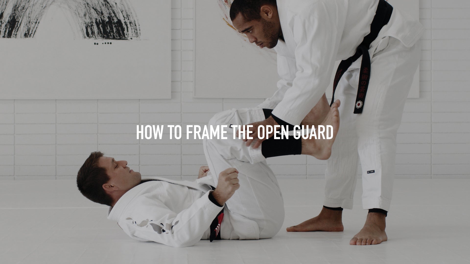 Framing the Guard (Rafael Mendes)