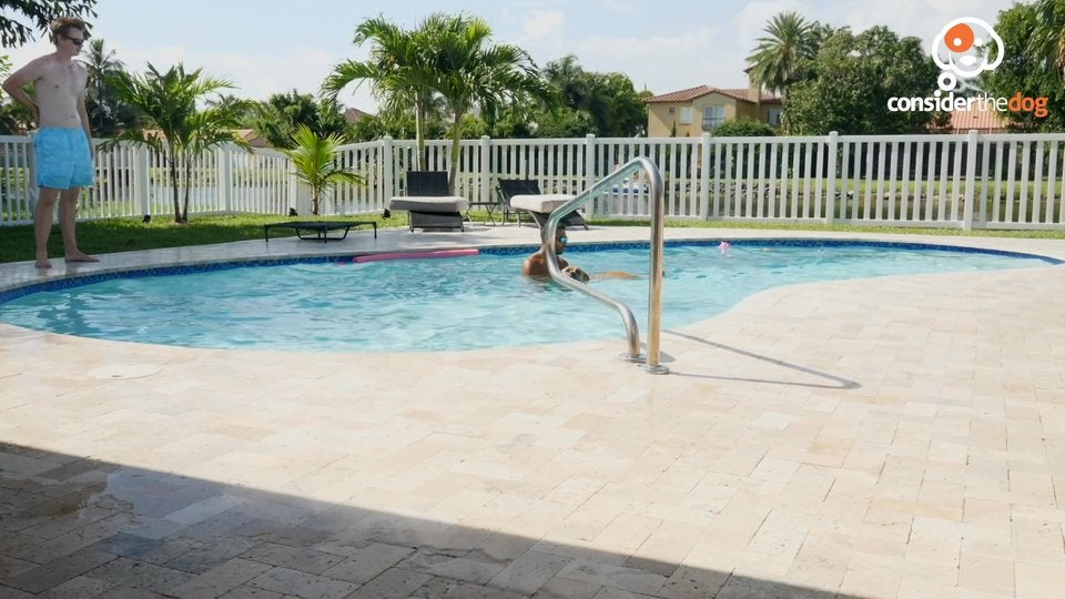 Rehabilitating Aggression Using the Pool