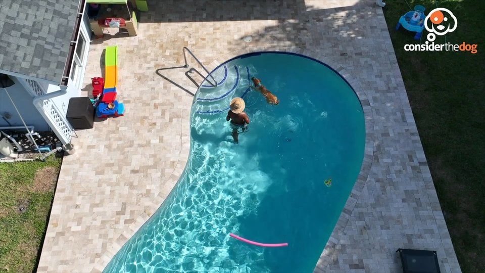 Rehabilitating Aggression Using the Pool