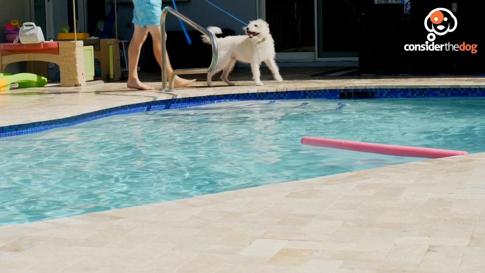 Rehabilitating Aggression Using the Pool