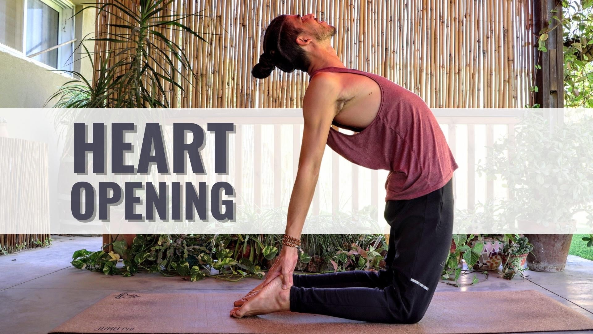 Better Posture Bundle