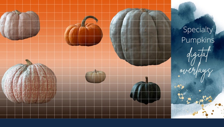 Finding North Educational Resources for Photographers | Specialty ...