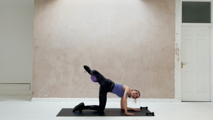 Panorama Barre | SLOW FLOW BARRE WITH PILATES BALL | TOTAL BODY | L1