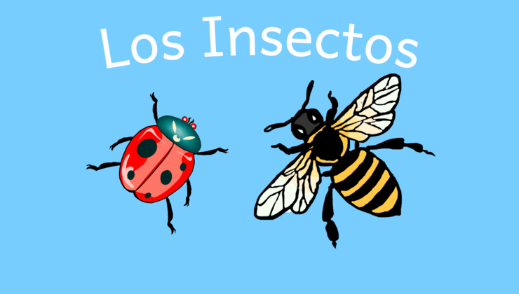 Learn @ Home - Spanish for Kids | Los Insectos - The Insects