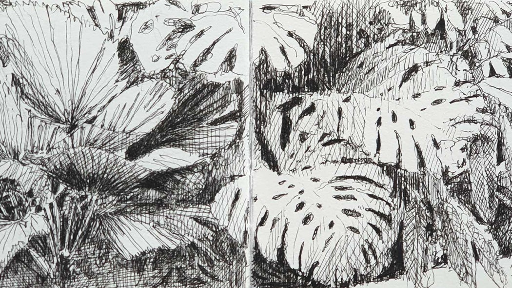 A Full Botanical Spread with Graphic Pens