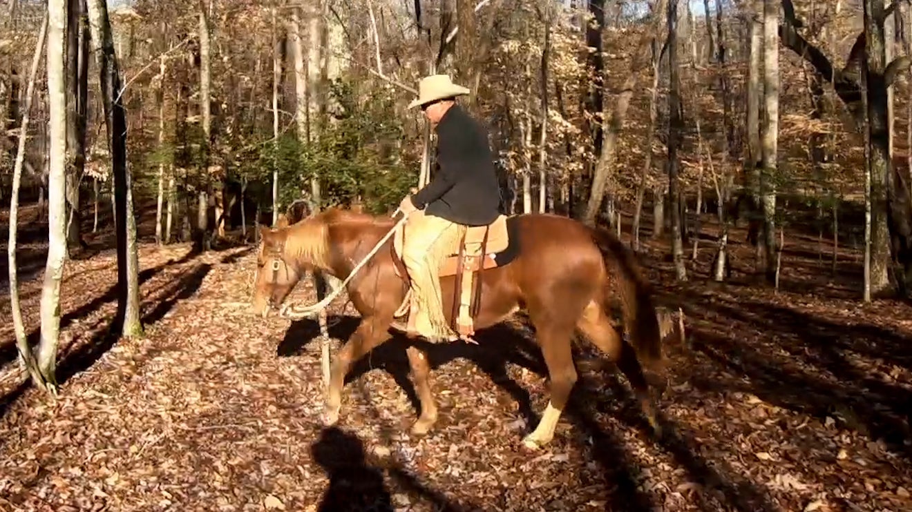 10 Commandments | B1 Horsemanship