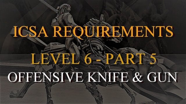 ICSA Certification Level 6