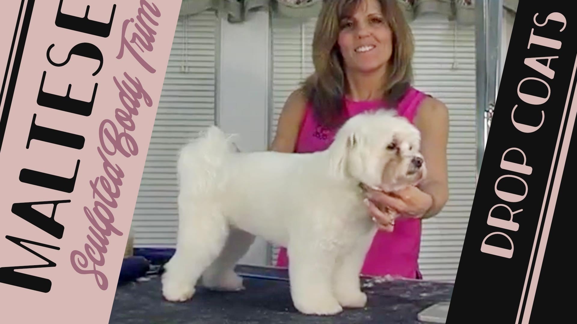 Complete Pet Trim Video Grooming Series | Jodi Murphy Instructional Series