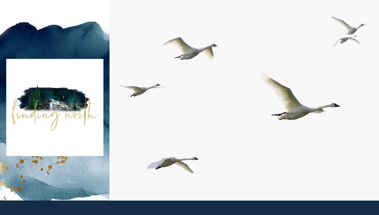 Finding North Educational Resources for Photographers | Swan Digital ...